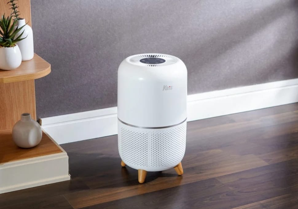 Benarkah Air Purifier Ampuh Basmi Virus Corona? Cari Tahu Lebih Lanjut ...