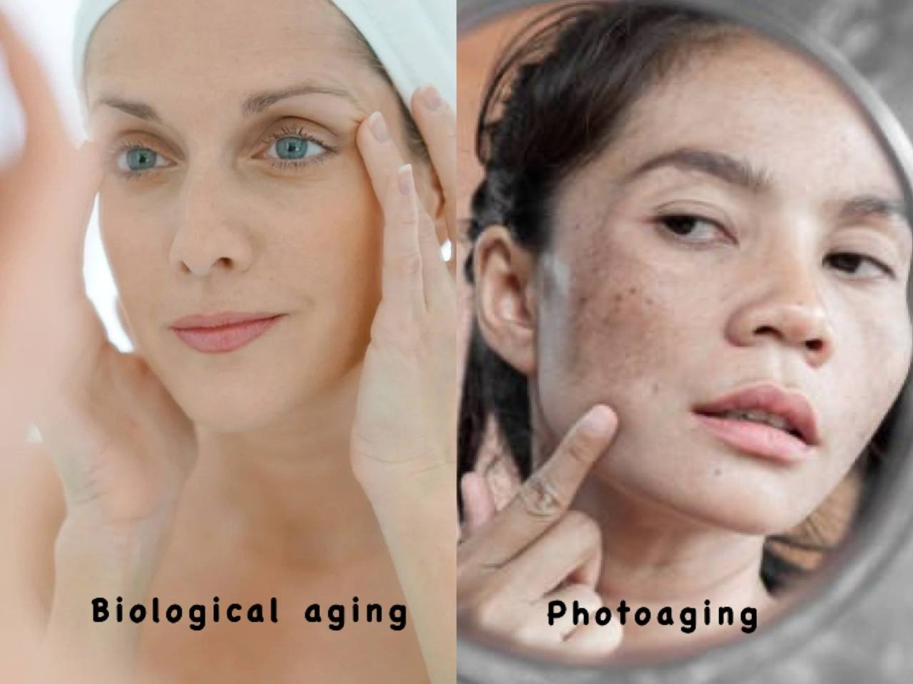 Yuk, Ketahui Perbedaan Antara Biological Aging dengan Photoaging ...