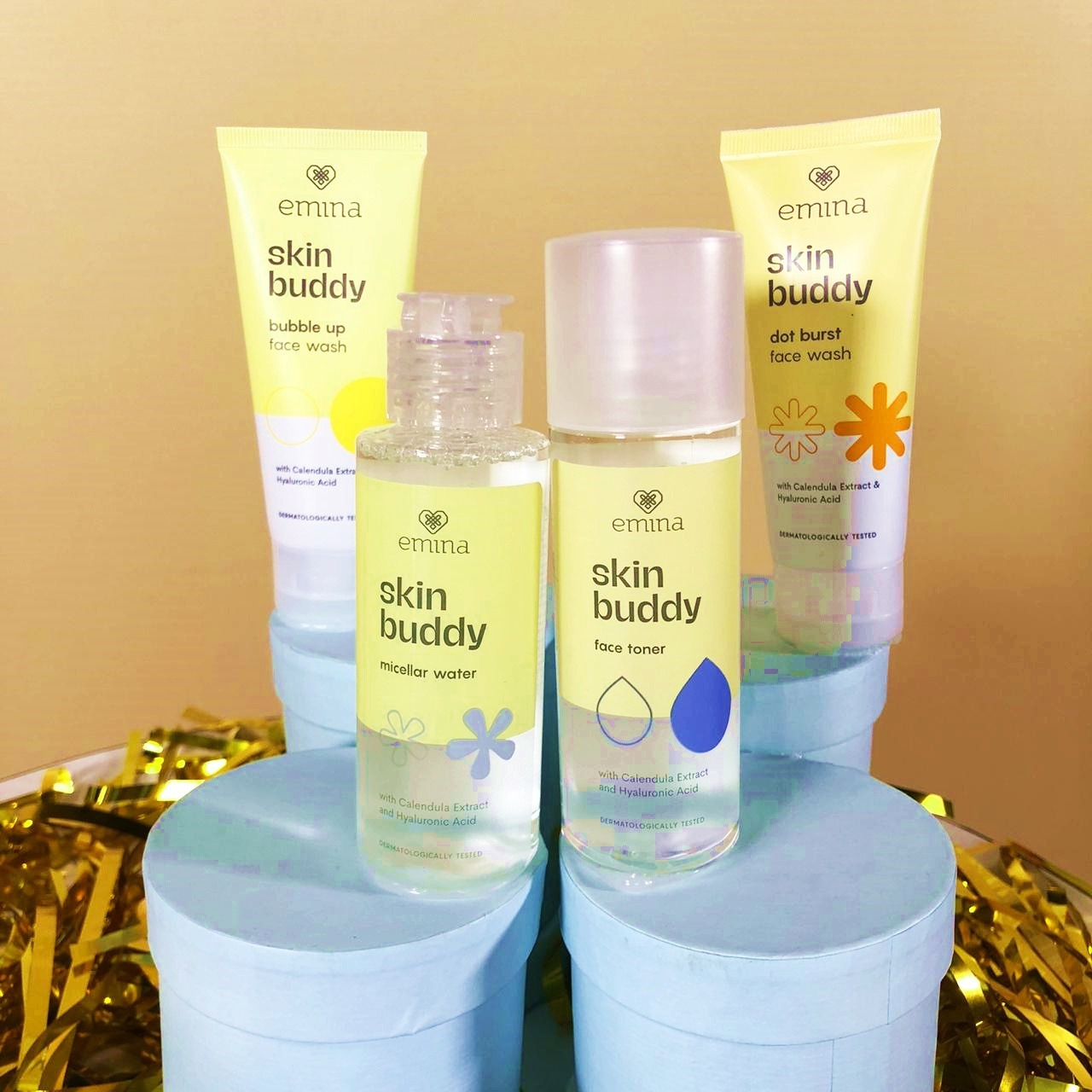 Keseruan Launching Event Virtual Emina Skin Buddy di Hari Valentine ...