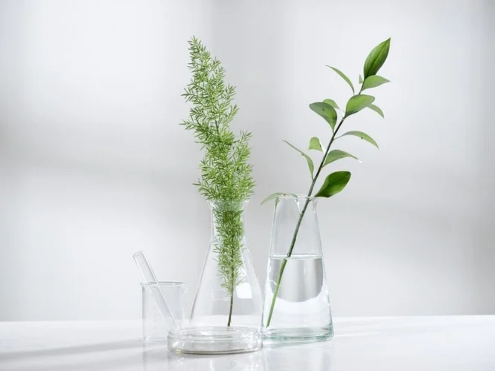 Selangkah Lebih Maju, Garnier Berkomitmen Menjadikan Green Science ...