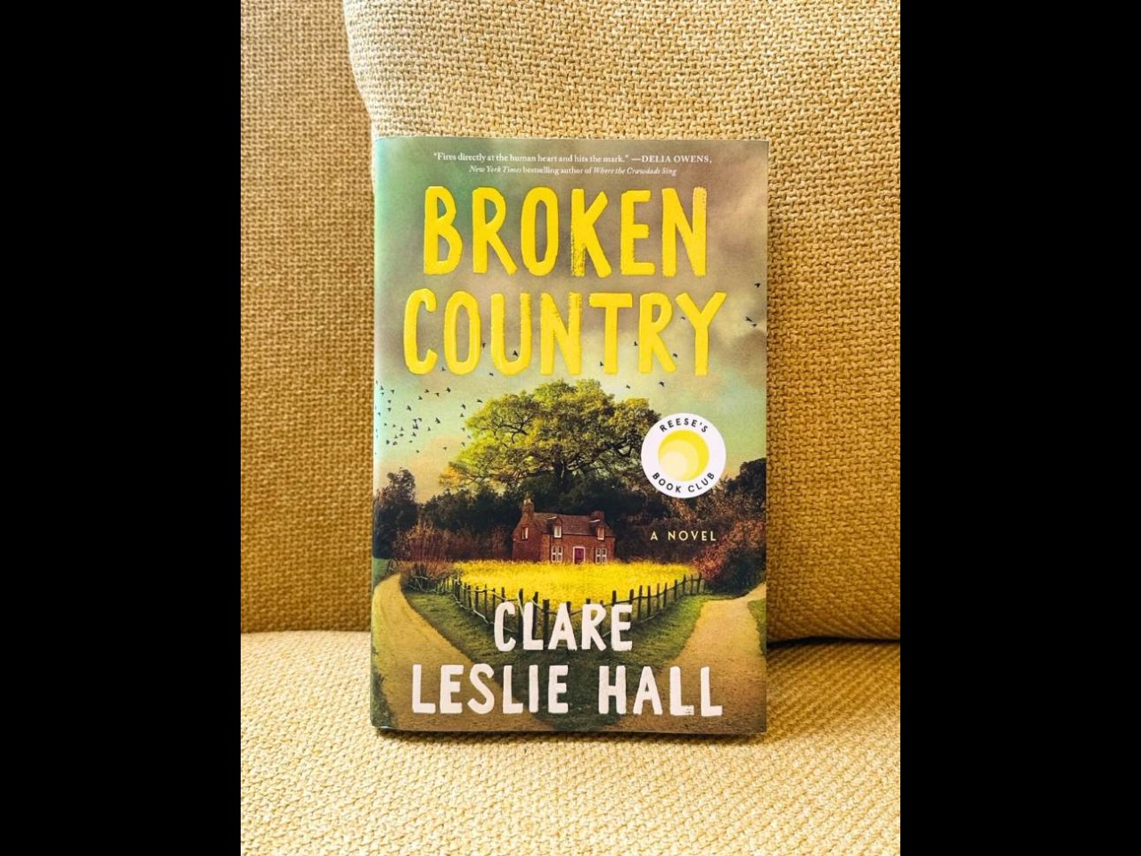 Review Buku: Broken Country, Cinta Segitiga dan Rahasia di Masa Lalu ...