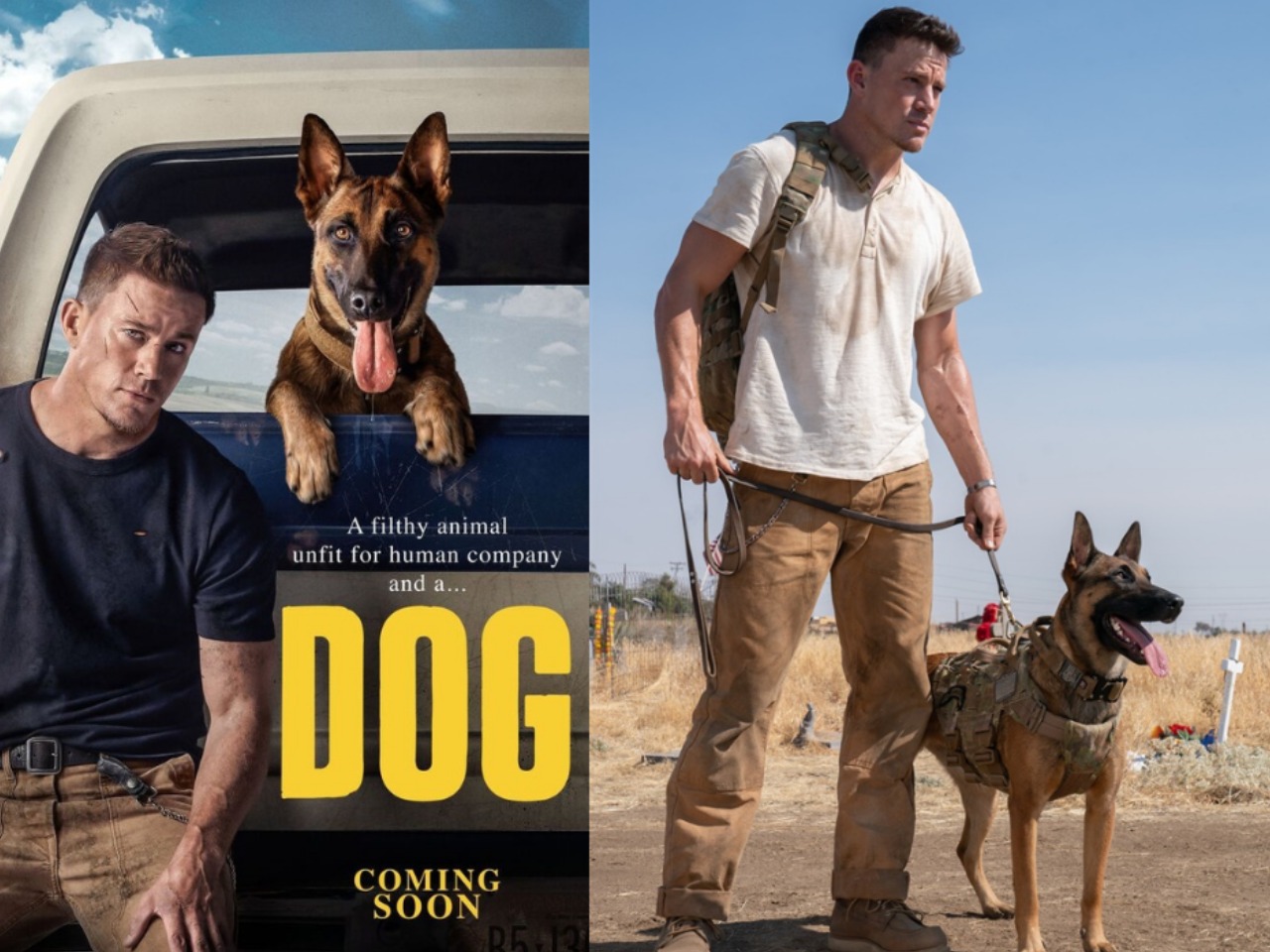 Review Film: Dog, Persahabatan dan Perjalanan Tak Terlupakan Mantan ...