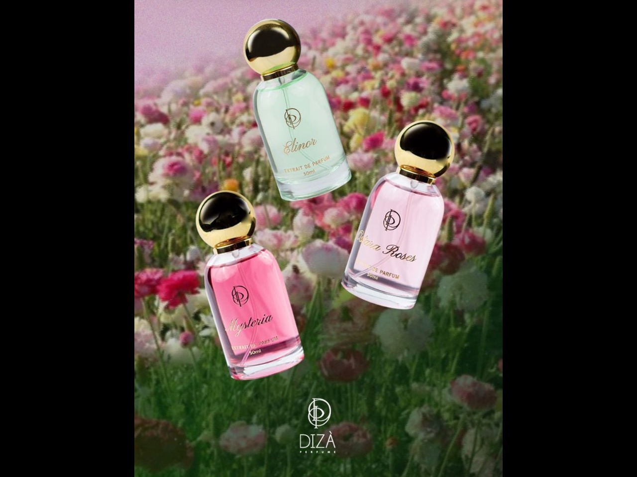 Intip 3 Rangkaian Koleksi Diza Perfume yang Cocok untuk Penikmat ...
