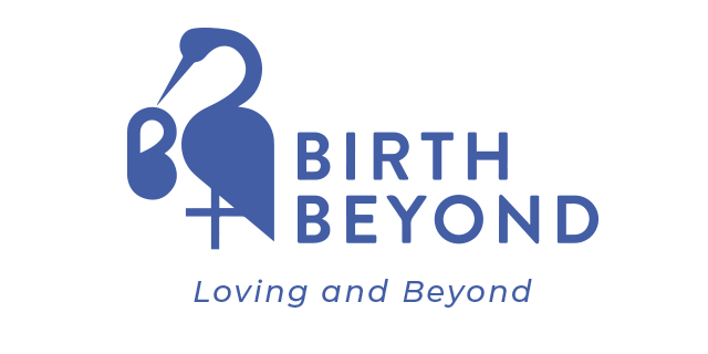 Jual Birth Beyond Skin Protector Lotion | Lilla