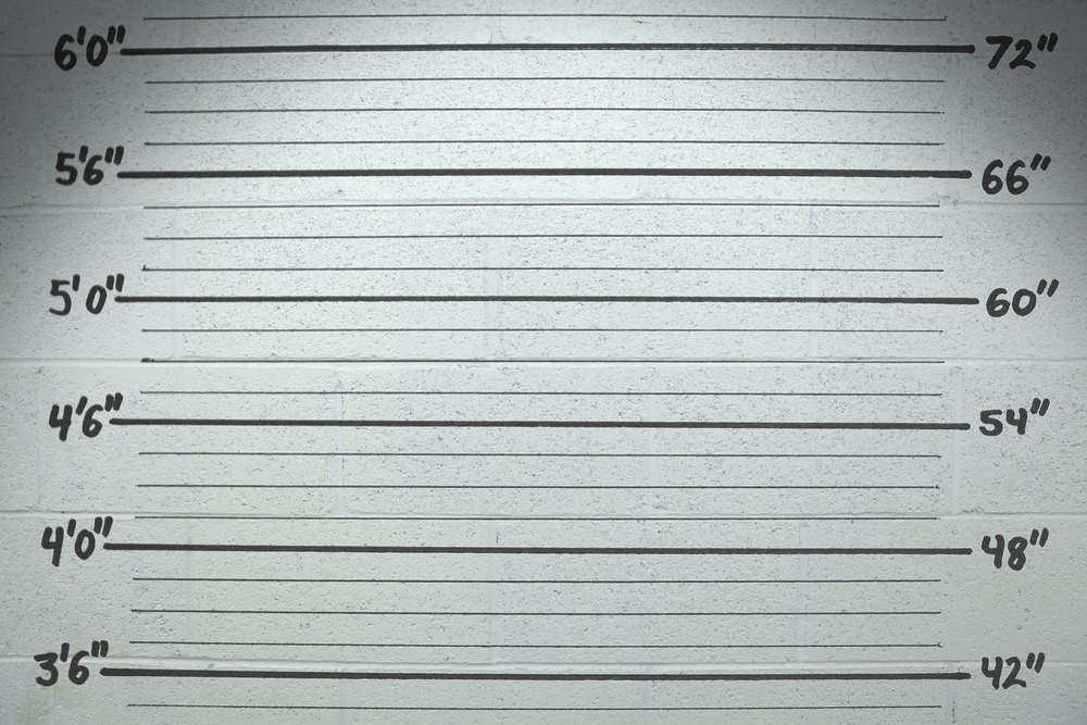 Mugshot Challenge, Tren Kontroversial yang Sempat Viral di Kalangan ...