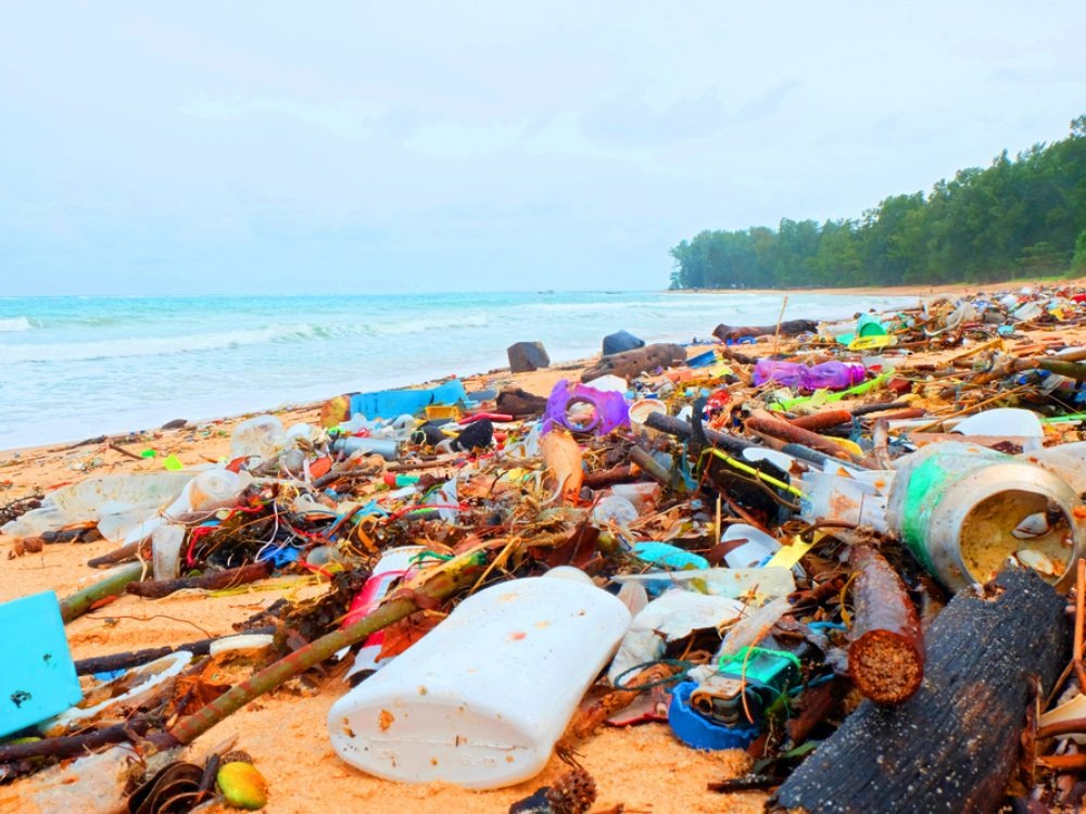 Lewat Acara Recycling Project, Sukin Ajak Masyarakat Indonesia Bijak Kelola Sampah - Beauty Journal