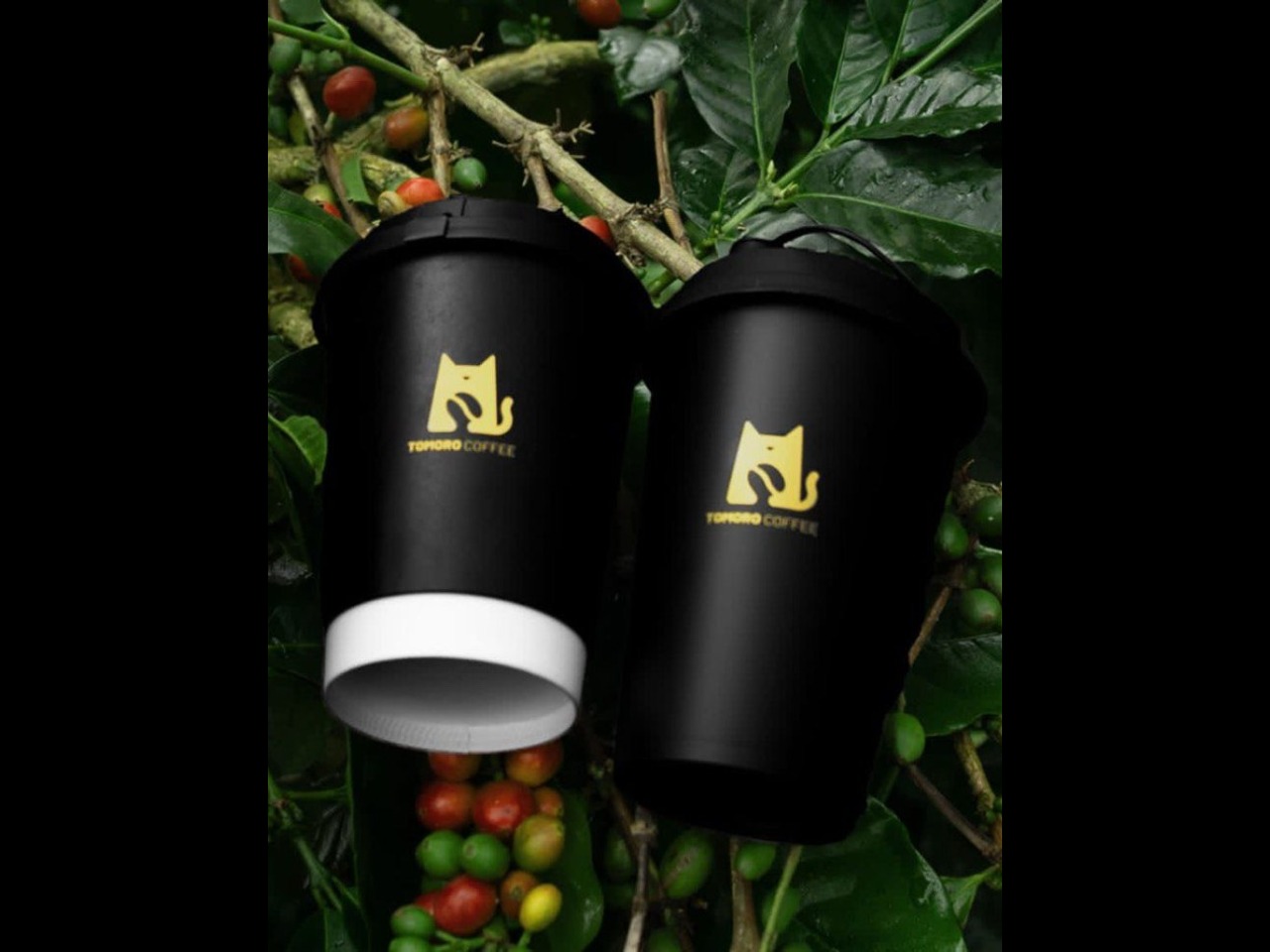 TOMORO Coffee Gunakan Biji Kopi Kintamani dalam Master S.O.E. Series ...