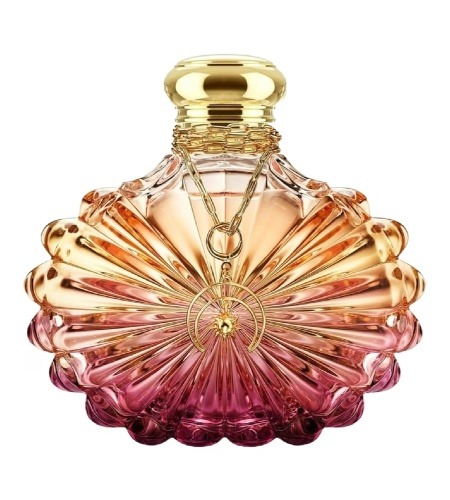 Desain Mewah, Ini Deretan Botol Parfum Favorit dari Fragrantica ...
