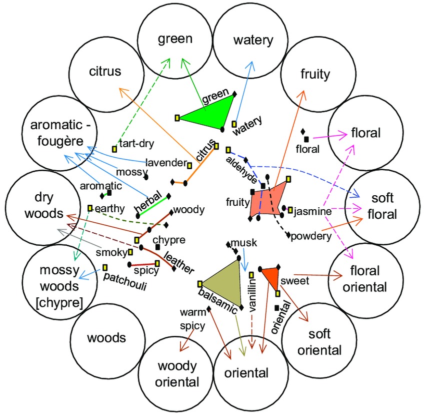 Mengenal Fragrance Wheel, Diagram Aroma yang Perlu Diketahui Para ...