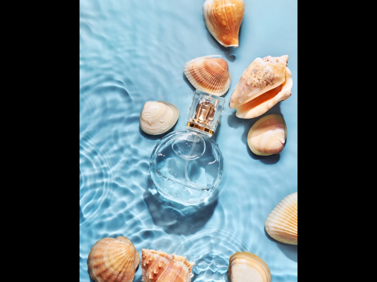 Marine Scent Fragrance, Wewangian Aroma Laut yang Segar & Versatile ...