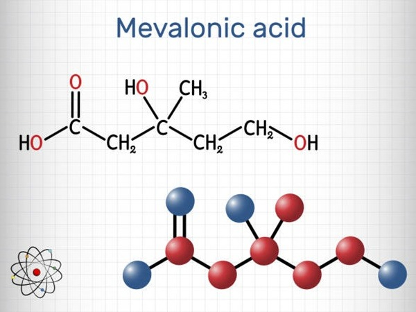 Mevalonic acid, Kandungan Skincare Baru yang Diklaim Bisa Mendukung ...