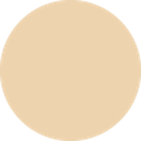 Jual Makeup SPOTLESS Acne Concealer | Sociolla