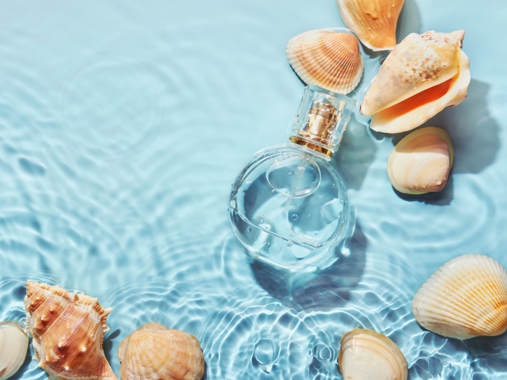 Marine Scent Fragrance, Wewangian Aroma Laut yang Segar & Versatile ...