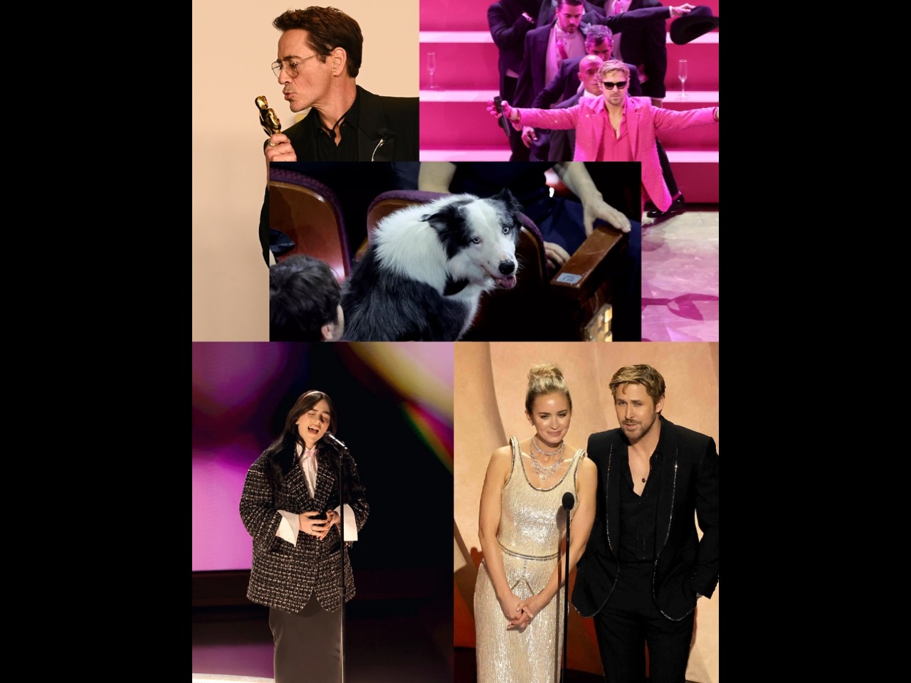 Robert Downey Jr. Raih Piala Academy Awards Pertamanya, Berikut Deretan ...
