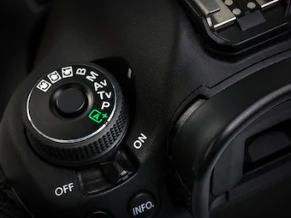 5 Tips untuk Memilih Kamera Bagi Pemula yang Perlu Anda Ketahui ...