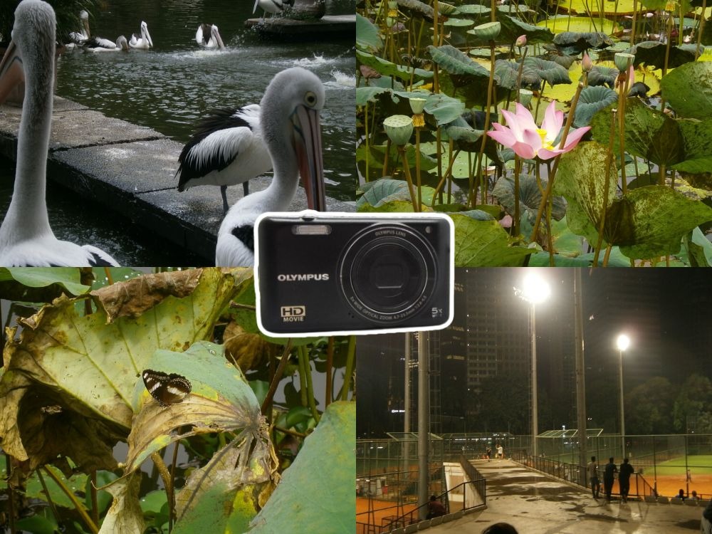 Rekomendasi 10 Kamera Digicam yang Sedang Digandrungi Para Gen Z ...