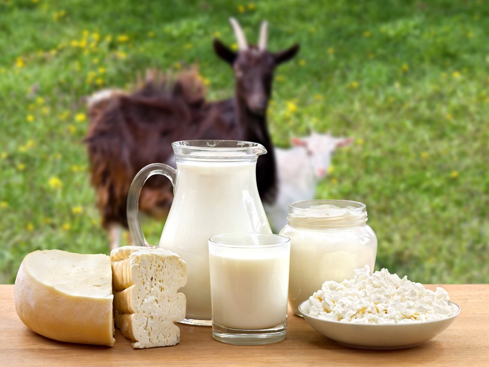 Kaya Manfaat Bagi Tubuh, Ini 7 Keistimewaan Susu Kambing yang Perlu ...