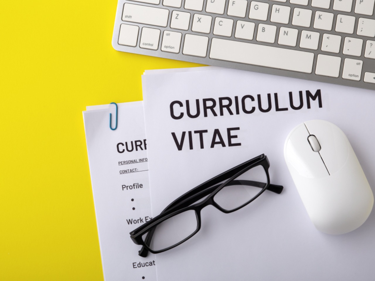 Bagaimana Menulis CV ATS Friendly dengan Baik dan Benar? Berikut ...