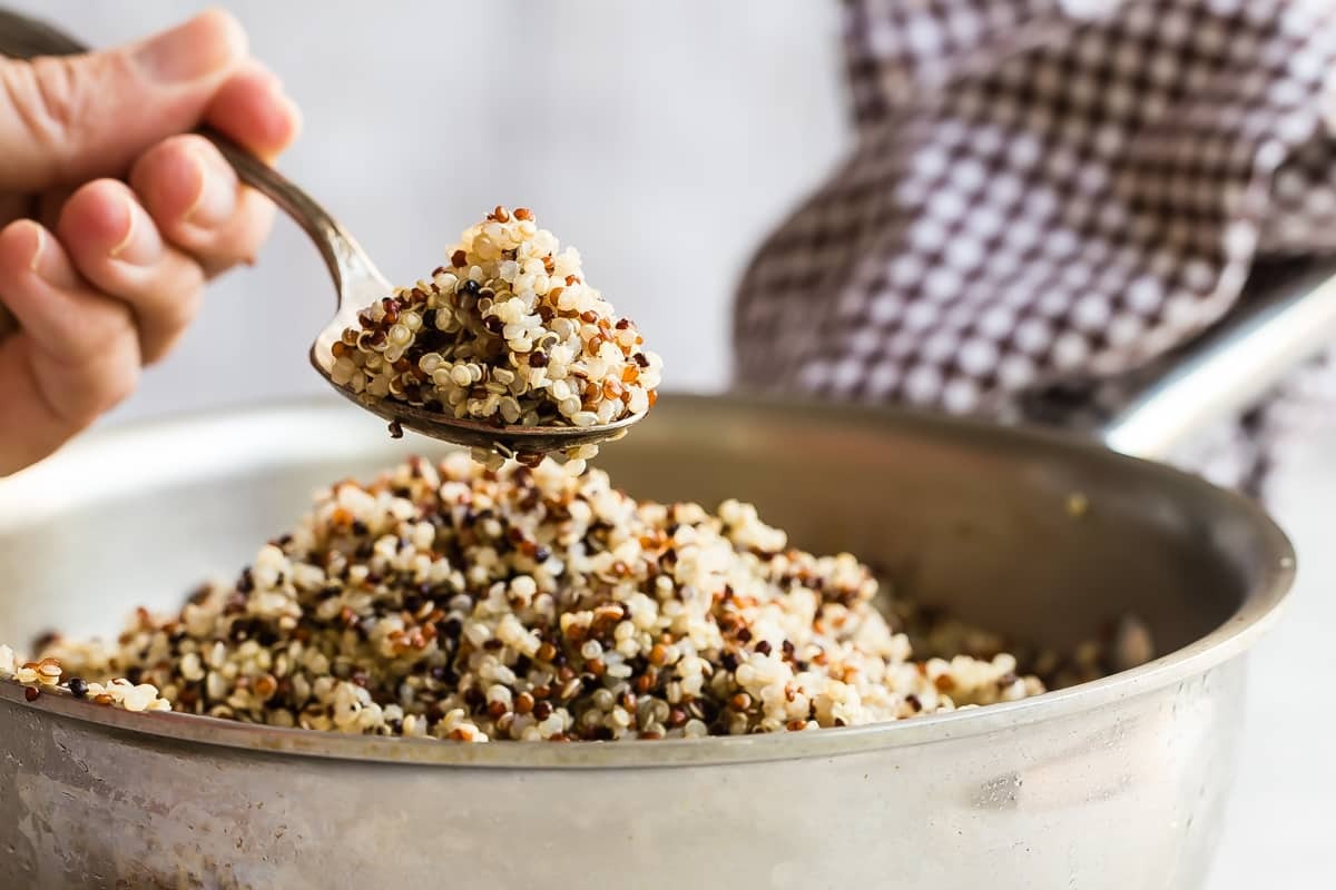 Ada Nasi Porang hingga Quinoa, Ini 5 Alternatif Nasi Putih Sebagai ...