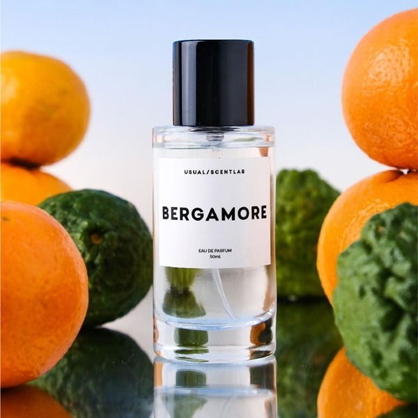 Calling All Fragrance Lovers! Ini Dia 8 Parfum Lokal Terbaru yang Wajib ...