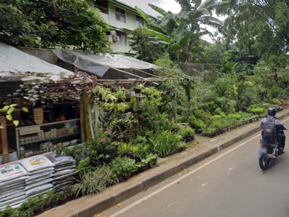 Bisa Datang Langsung Ini 5 Toko Tanaman Hias Yang Berlokasi Di Jakarta