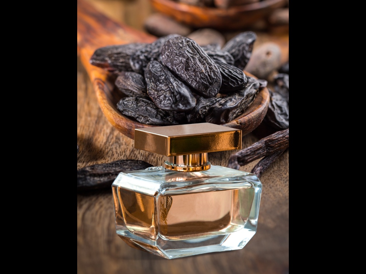 Kenalan dengan Aroma Tonka Bean pada Parfum dan Produk Rekomendasinya ...