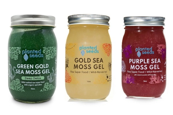 Jadi Wellness Trend, ini Rekomendasi Sea Moss Gel yang Bisa Dibeli di ...