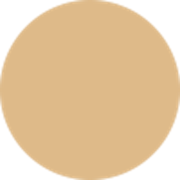 Jual Makeup SPOTLESS Acne Concealer | Sociolla