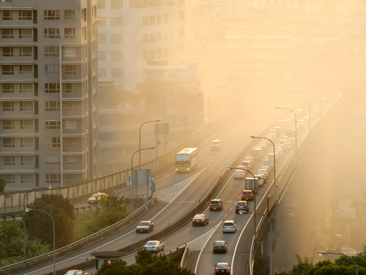 Polusi Udara Terus Meningkat, Ini Sederet Cara di Berbagai Negara dalam ...