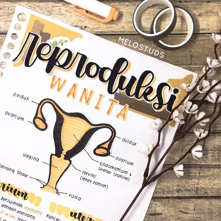 Studygram, Cara Seru Belajar yang Membantu Meningkatkan Kreativitas ...