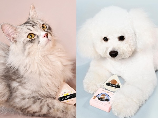 Baru! Aeris Beauté Cloud Conceal Puff Edisi Kelly’s Co yang Wajib ...