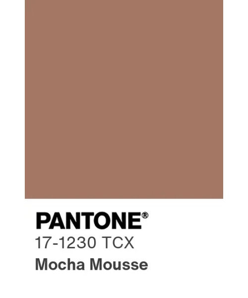 Bukan Brat Green, Mocha Mousse Jadi Pantone Color of the Year 2025 ...