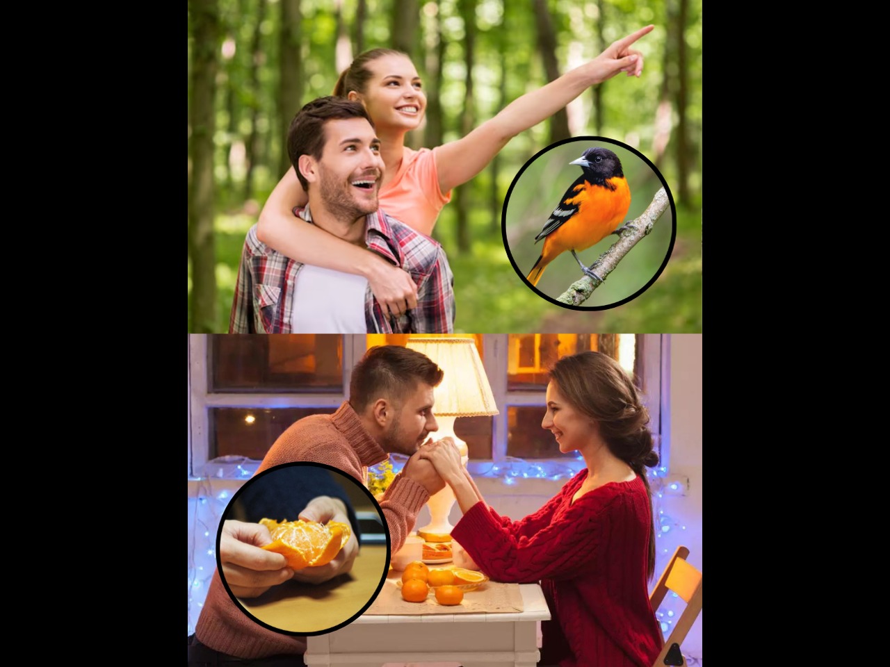 Bird Test hingga Orange Peel Theory, Tren Istilah Soal Hubungan yang ...