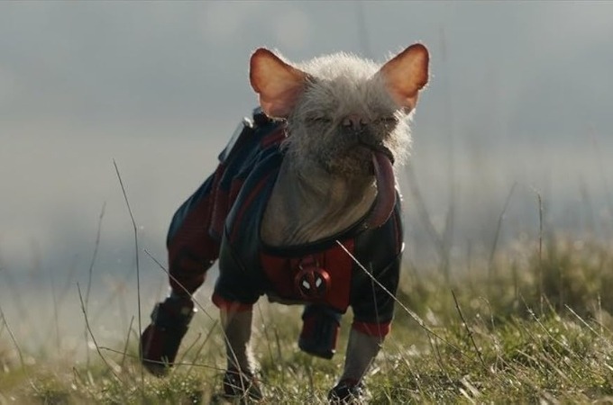 7 Fakta Menarik Film 'Deadpool & Wolverine' yang Tayang Mulai 26 Juli ...