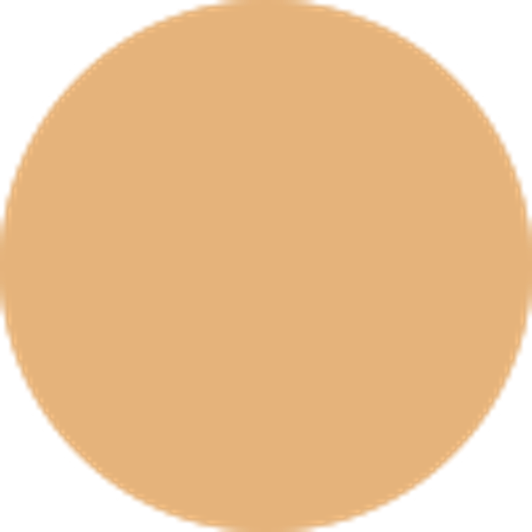 Jual Makeup The Daily Skin Drops | Sociolla